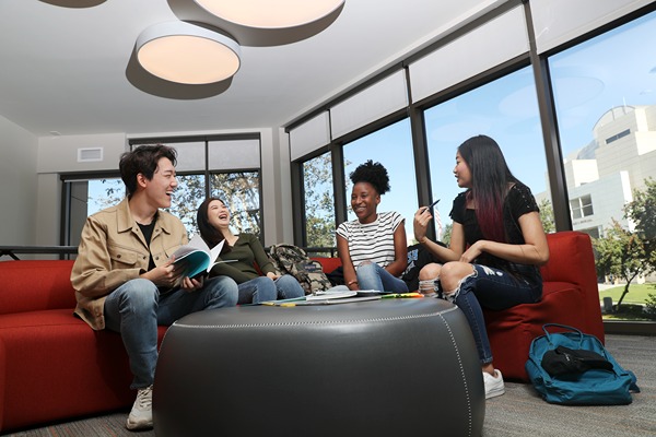 Newly Admitted Students | Join the Pack | CSUSB